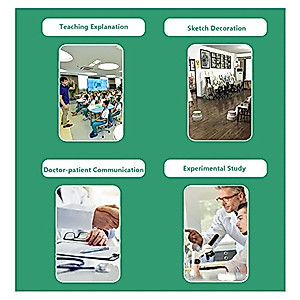 Human Spine Model Colored Flexible Scientific Anatomical Human Skeleton Spine Model Anatomy Model Including Spine Nerve Roots Vertebral Artery Transverse Spine Femur 45cm/17.7in