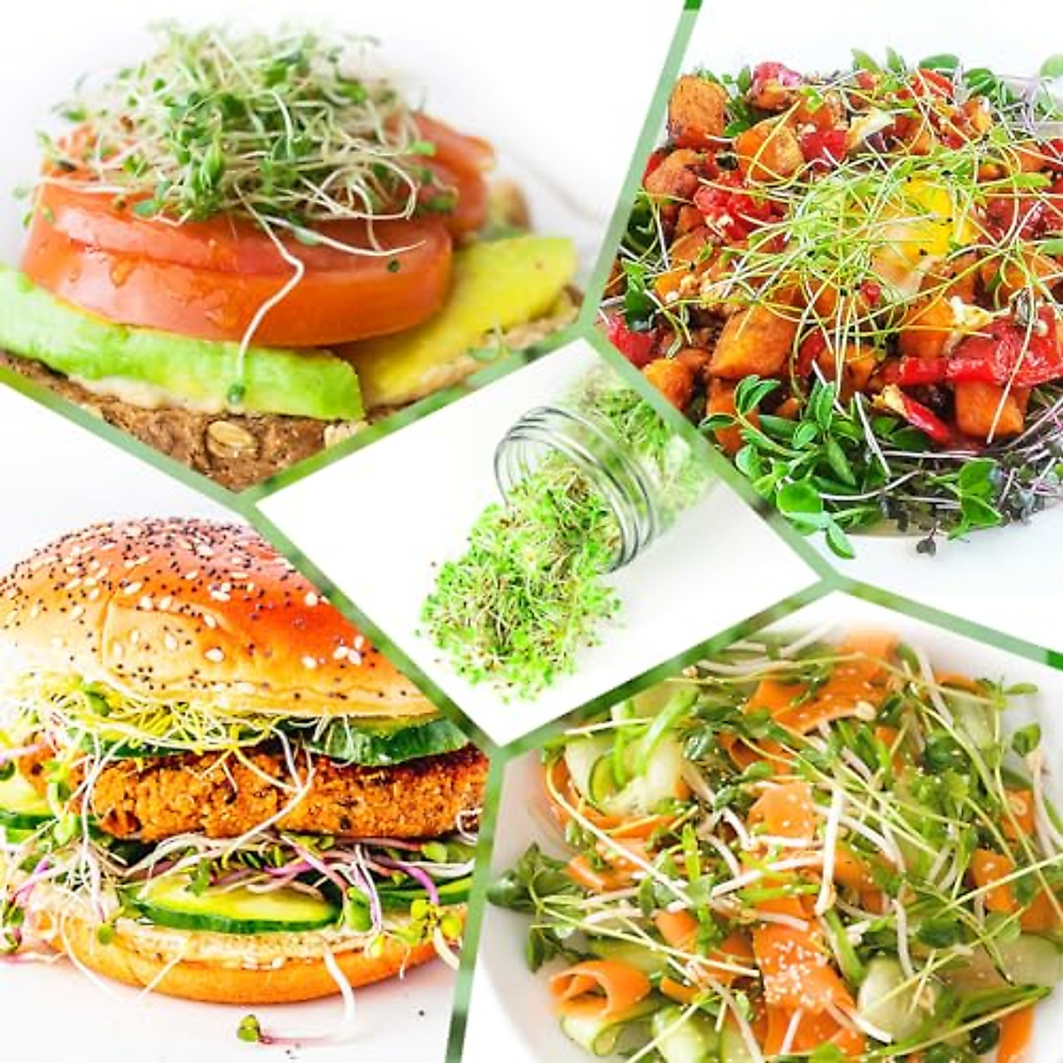 Sprouting Jars, Sprout Growing Kit Including Wide Mouth Mason Jars, Sprout Lids, Blackout Sleeves, Tray and Stander, Sprouts Growing Kit for Microgreens Alfalfa Broccoli