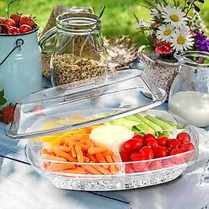 MOLIGOU Chilled Serving Tray, Ice Party Platter with Lid, 4 Compartments Appetizer Serving Tray on Ice