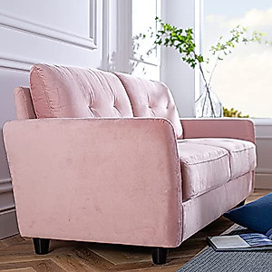 ZINUS Ricardo Velvet Loveseat Sofa, Easy, Tool-Free Assembly, Blush Velvet