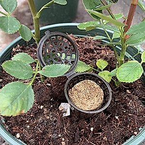 Yosoo 20PCS Plastic Fertilizer Mesh Baskets with Lids Anti‑Aging Planting Food Net Pots Garden Nutrition Cups for Succulent, Orchid, Bonsai Brown 3.1in x 1.8in