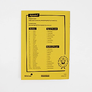 Silvine A5 Primary School Dictionary