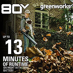 Greenworks Pro 80V (180 MPH / 610 CFM) Cordless Backpack Leaf Blower, 2.5Ah Battery and Charger Included BPB80L2510 & PRO 80V 2.5Ah Lithium-Ion Battery (Genuine Greenworks Battery)