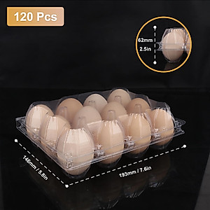 KUKLIPJIM 120 Pack Bulk Egg Cartons, Clear Plastic Chicken Egg Holders, Egg Tray Carton Holder for Home & Kitchen, Farm & Market Use, An Eco-Friendly Egg Storage Solution, 12 Grids