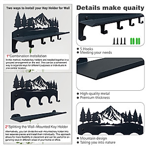 Wall Mounted Key Rack, Decoration Metal Key Rack Hook Organizer with 5 Hooks for Bags Wall Front Door Hallway Kitchen Office, 2-in-1