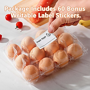 YIFIHGE 120PCS Egg Cartons Cheap Bulk, Clear Egg Cartons for Chicken Eggs, Reusable Chicken Egg Container Bulk Egg Holders with Labels for Refrigerator, Storage, Family, Chicken Farm, Market