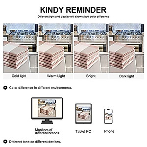 PiccoCasa 100% Cotton Terry Kitchen Towels, Big Buffalo Check, 6 Pack Soft Absorbent (13 x 29 Inch) Quick Dry Dish Towels - Pink, White