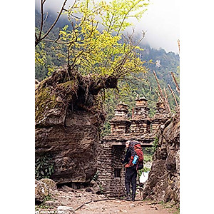 Sawyer Products SP129 Squeeze Water Filtration System w/ Two 32-Oz Squeeze Pouches, Straw, and Hydration Pack Adapter