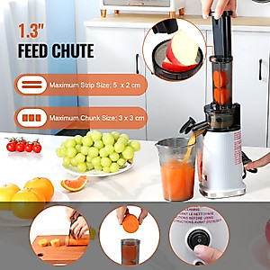 VEVOR Masticating Juicer, Cold Press Juicer Machine, Juice Extractor Maker with High Juice Yield, Easy to Clean with Brush, for High Nutrient Fruits Vegetables (Mini)
