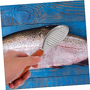 UPKOCH Fish Scaler Fish Scraper Fish Skin Graters Cleaning Fish Peeler Fish Scale Skinner Meat Remover Fish Cleaning Shredder Hand Tools Fish Skin Cleaning Peeler Wood Toothbrush Major