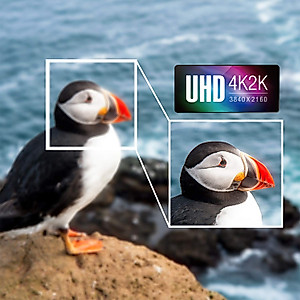 Acer ConceptD CP3 CP3271K Pbmiippruzx 27" UHD 4K (3840 x 2160) IPS G-SYNC Compatible Monitor, Pantone Validated, VESA Certified DisplayHDR400, DCI-P3, Delta E<1 (2 x DP, 2 x HDMI & 4 x USB 3.0 Ports)