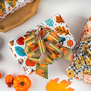 WRAPAHOLIC 18 Pcs Autumn Gift Pull Bows Assortment - 5 Inches Diameter Pull String Bows for Christmas, Holiday, Party Favors, Decor