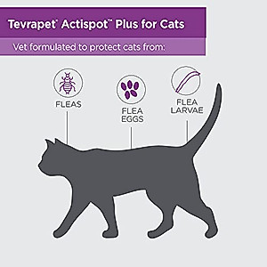 TevraPet Actispot II Flea Treatment for Small and Medium Cats 5-9 lbs | 6 Doses | Powerful Prevention and Control, Clear