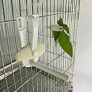 POPETPOP 2pcs Pet Treat Clips Plastic Cuttlebone Treat Holder Clamp Cuttlebone Holder