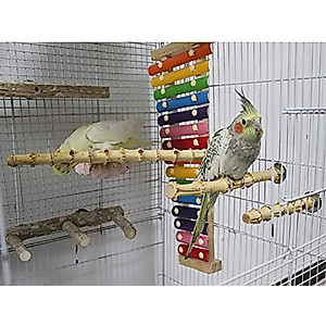 3 Pack Bird Perch Stand, Natural Bamboo Parrot Paw Grinding Toys, Bird Cage Accessories, Bird Paw Grinding for Small Birds Parrots Parakeets Cockatiels Conures Finches Love Birds