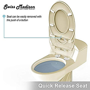 Swiss Madison SM-1T803 Chateau Elongated Toilet Dual Flush 0.8/1.28 Gpf (Soft Closing Quick Release Seat Included)