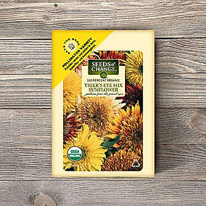 Seeds of Change 1342 Tiger's Eye Sunflower, 1.1 grams, 25 seeds per pack, Multi