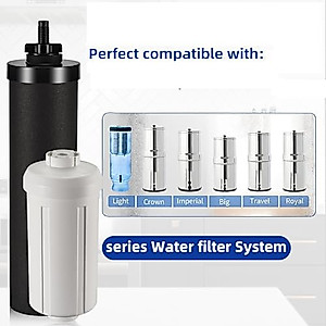 Water Filter Replacement Water Filtration System, Fluoride Filters 2 Pack and Black Filters 2 Pack
