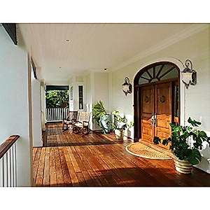 Westinghouse 4513600 60-Watt Equivalent A15 Soft White LED Light Bulb with Medium Base, 1 Count (Pack of 1), Single Pack