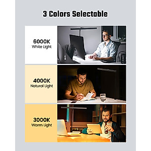 SUPERDANNY LED Desk Lamp for Office Home, Eye-Caring Desk Light with Adjustable Gooseneck, 12W Touch Control Dimmable Brightness, Architect Clamp Lamp with USB Adapter for Reading Study Workbench