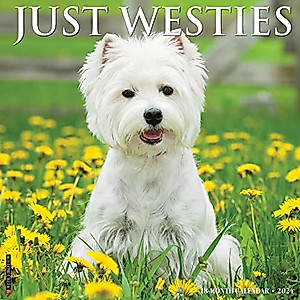 Willow Creek Press Westies Monthly 2024 Wall Calendar (12" x 12")