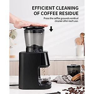 SHARDOR Conical Burr Coffee Grinder with Digital Timer Display, Electric Coffee Bean Grinder with 31 Precise Settings for Espresso/Drip/Pour Over/Cold Brew/French Press, Matte Black