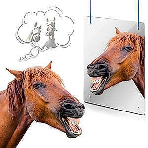 Sukh Horse Mirror Horse Stall Mirror - Safe Acrylic Mirrors Sheet Horse Toy Balls Non Glass Shatterproof Horse Toys for Stable Barn Stall Toy Entertainment(16.92 x 12.99 Inch)