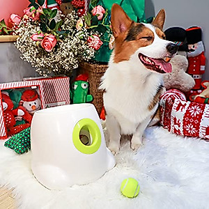 AFP Automatic Dog Ball Launcher Automatic Ball Launcher for Dogs Interactive Puppy Pet Ball Indoor Thrower Machine Fetch Machine for Small and Medium Size Dogs, 3 Balls Included (2 inch)