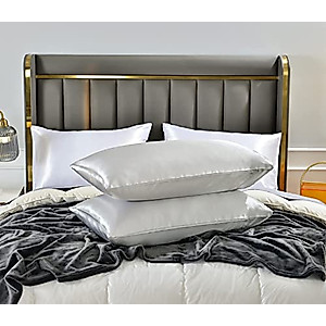 Pack of 2 Satin Pillowcases for Hair and Skin, Satin Pillow Cases Set of 2 Pillow Cover with Envelop Closure (King, Silver)