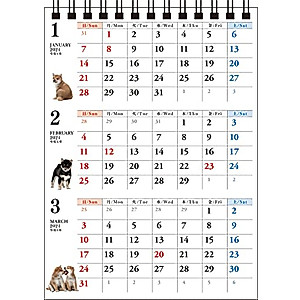 2023 柴犬カレンダー 卓上書き込み式 [B6タテ] 【S3】 (永岡書店のカレンダー)