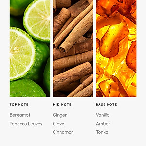 Aroma360|Disney | Tomb Sweet Tomb Oil Blend | Haunted Mansion Inspired Diffuser Oil | Aromatherapy Scent Diffuser Oil | Cinnamon, Tonka and Bergamot 1.7 fl oz, 50 mL