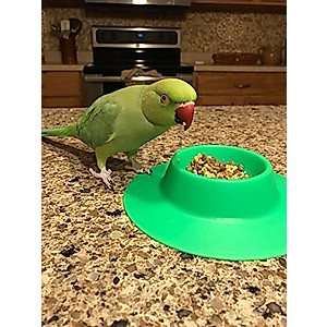 STAYbowl Tip-Proof Ergonomic Pet Bowl for Guinea Pig and Other Small Pets, 1/4-Cup Small Size, Spring Green