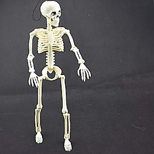 XONOR 16” Posable Halloween Skeleton- Full Body Halloween Skeleton with Movable Joints for Haunted House Props Decorations (1pc)