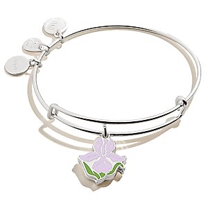 Alex and Ani Iris Sentimental Slider Charm Bangle Bracelet - Shiny Silver Finish - 2 to 3.5 in