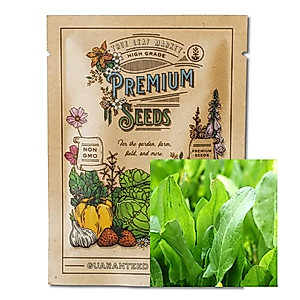 Large Leaf Sorrel Herb Seeds for Planting - 1 Gram 500+ Seeds - Non-GMO, Heirloom - Culinary Sorrel Herb Plant Seeds - Home Garden Herb Seeds - Sealed in a Beautiful Mylar Package