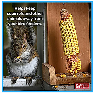 Kaytee Corn On The Cob Food For Wild Squirrels, Rabbits, Chipmunks and Other Backyard Wildlife, 6.5 Pound