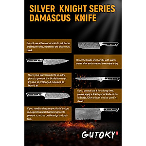 Gutoky 6 Inch Damascus Boning Knife, Feather Pattern Blade with G10 Handle, Japanese AUS10 Steel, Professional Kitchen Fillet Knife