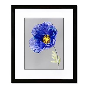 VNVNK 20x24 Frame Black, Perfect for 20x24 Inch Picture without Mat or 16x20 Inch Picture with Mat, Home Wall Decor Picture Frame-1 PCS