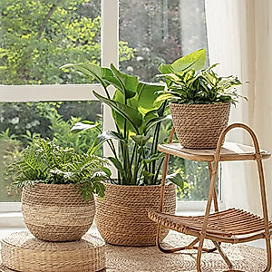 LA JOLIE MUSE Natural Seagrass Large Planter, Plant Pots Cover, Indoor Planters Flower Pots, 13.5+12+9 inch Pack 3