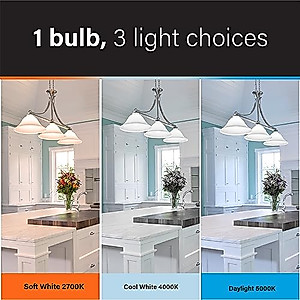 Feit Electric LED Three-Color Selectable Intellibulb - A23 with an E26 Medium Base Light Bulb - 300W Equivalent - 15 Year Life - 4060 Lumen - 2700K Soft White, 4000K Cool White and 5000K Daylight