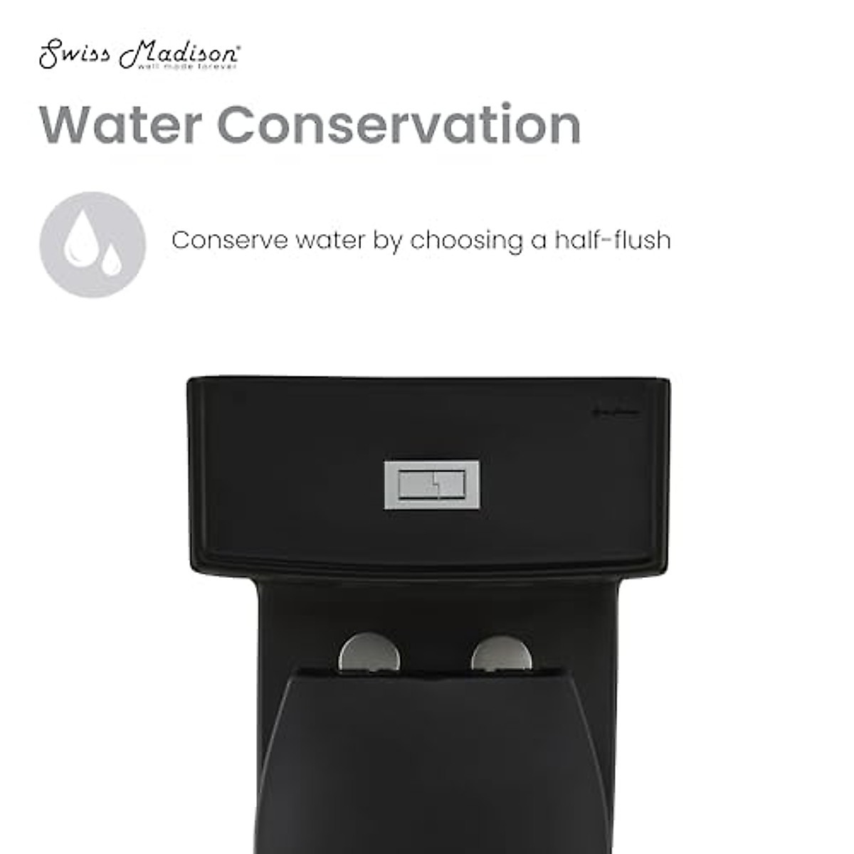 Voltaire One-Piece Elongated Toilet Dual-Flush 1.1/1.6 gpf in Matte Black