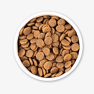 Earthborn Holistic Great Plains Feast Grain-Free Natural Dry Dog Food, 12.5 lb