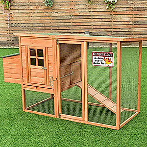 Bigtime Signs Keep Gate Closed - No Matter What The Chicken Say | PVC Chicken Decor 9x12''-Christmas Chicken Yard Decorations Chicken Coop Accessories-Chicken Gifts for Chicken Lovers