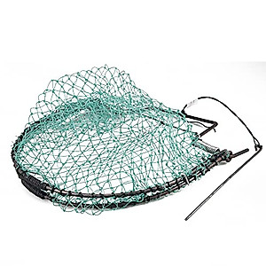 16" Pigeon Bird Trap,Humane Live Bird Traps for Small Birds Pigeons Sparrow Quail Hunting Cage Traps