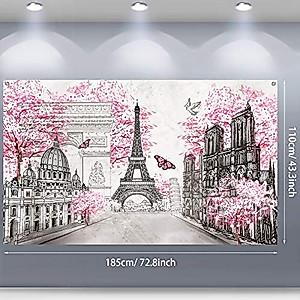 Paris Tapestry Backdrop Paris Wall Art Eiffel Tower Photo Banner Background European City Landscape Pink Wall Hanging Decor for Living Room Girl Bedroom Paris Themed Party Decoration, 72.8 x 43.3 Inch