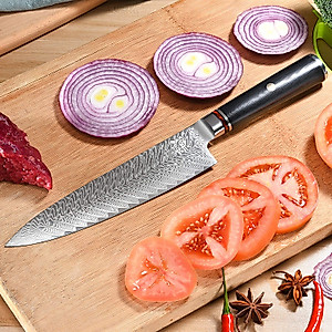 Damascus Chef Knife Japanese Chefs Knife 8 Inch VG10 Kitchen Knife 67-Layer High Carbon Stainless Steel Knife Ergonomic Superb Edge Retention Gyuto Chefs Knives with Gift Box