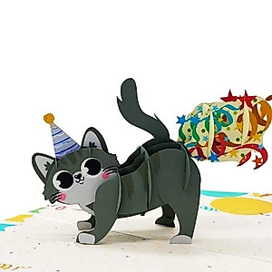 ETA 3D Funny Cat Birthday Pop Up Cards, 3D Animal Pop Up Card for Kids,Girls, Daughters, Niece, Grandchild on Birthday, Have a Purrfect Birthday Card, B27