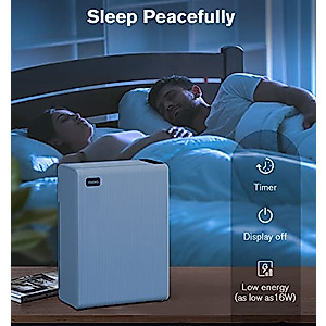 Air Purifiers for Home Large Room, MOOKA H13 True HEPA Filter Air Cleaner for Dust Allergies Pets Dander Pollen Smoke Odor, 100% Ozone Free Quiet Air Cleaner for Home, Bedroom and Office