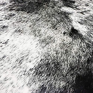 RODEO Salt and Pepper Cowhide Rug Brazilian Cow Skin Rug Brown/Tricolor/Black Cow hides Size 6x7 ft (182cmx213cm) cowhides Premium Quality (Black)