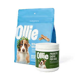 Ollie Belly Rubs Dog Probiotic Chews - Probiotics for Dogs and Ollie Dental Chews for Dogs Small - Dog Breath Treats